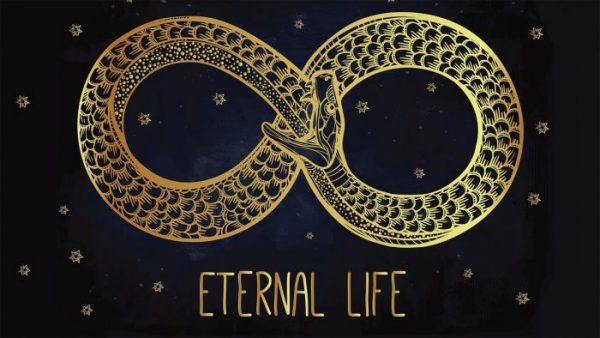 Apocalypse Insurance: Tech Billionaires are trying to Live Forever ...